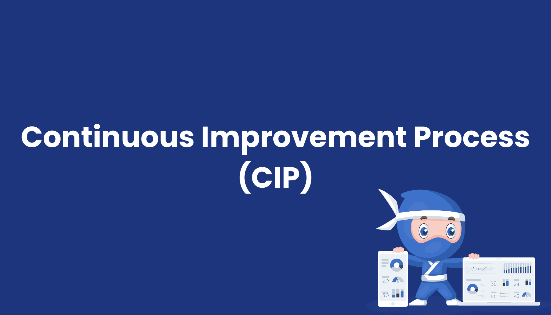Continuous Improvement Process (CIP)